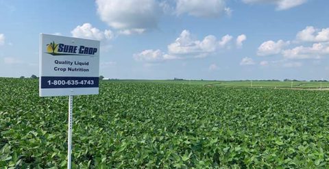 Specialty Products | Improve Uptake and Yields | Sure Crop Fertilizer